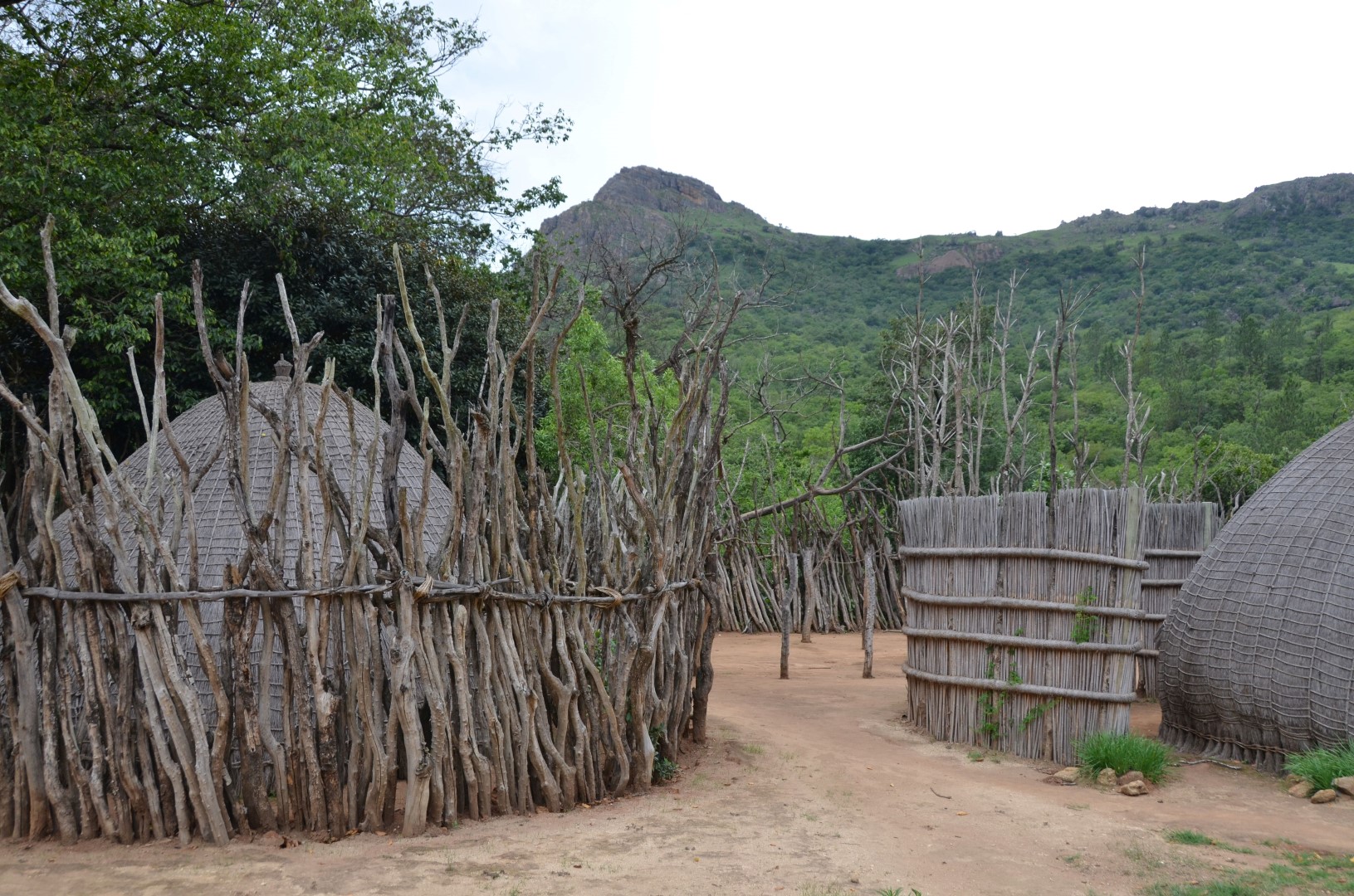 Photos – Ellen Decker